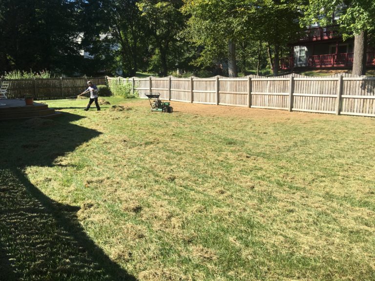 hatching service NOVA | Ricky's Lawn and Landscape | thatch | Ricky's ...