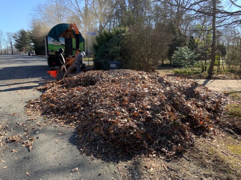 Curbside Leaf Removal Service | Ricky's Lawn Landscape | Haul leaves ...